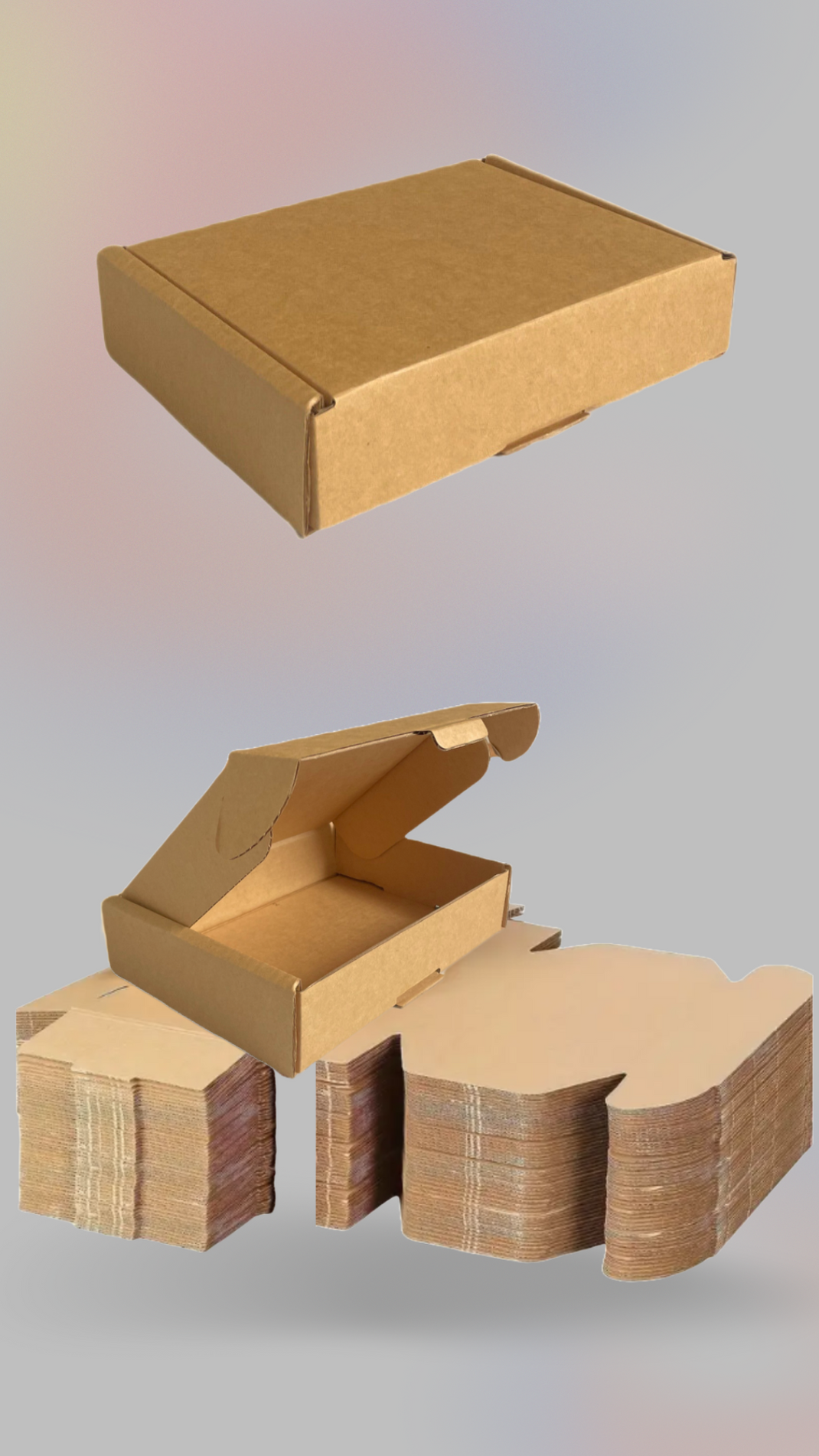 Catalog – Lion Packaging